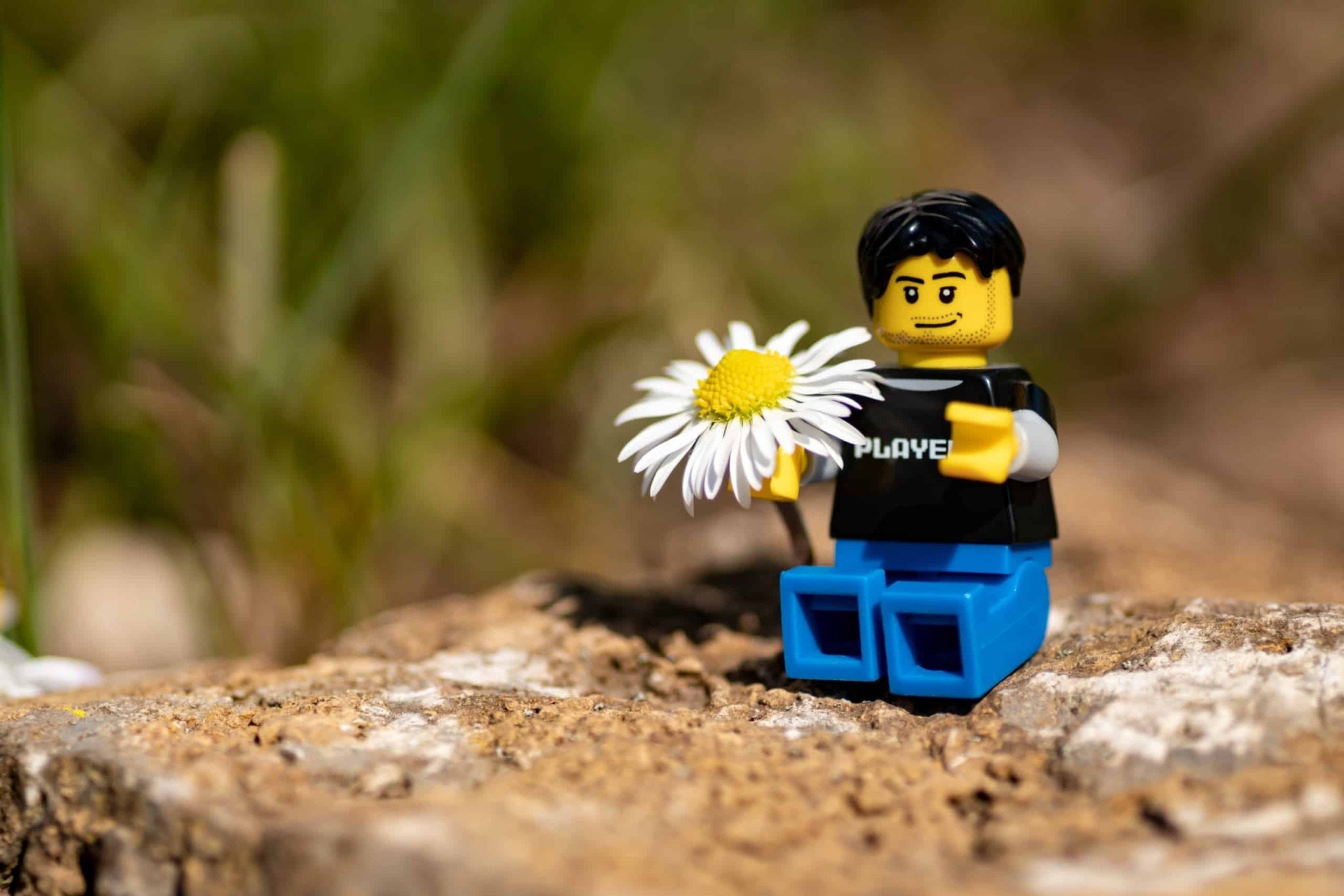 LEGO : fin de partie pour Delta Sport - Germain Maureau